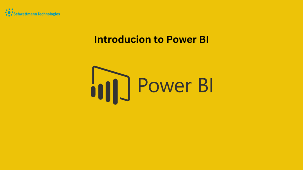 Beginner's Guide to Power BI for Business - SchwettmannTech